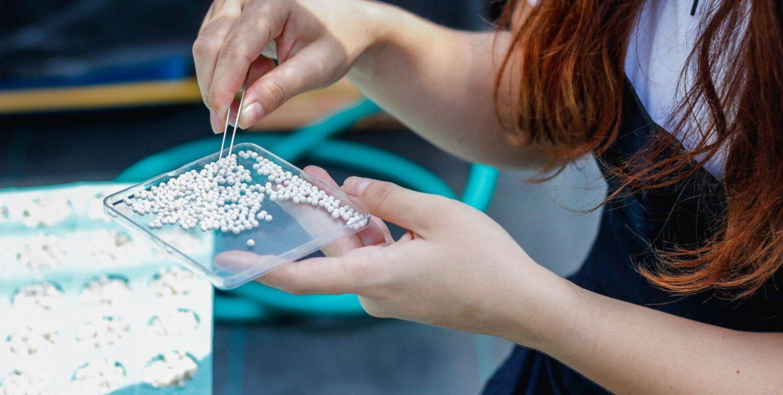 SAN vs GPPS: Choosing the Right Clear Polymer for Your Application ...